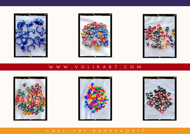 Bird Leg Ring Size Guide: Essential Information for Bird Owners – VoliKart