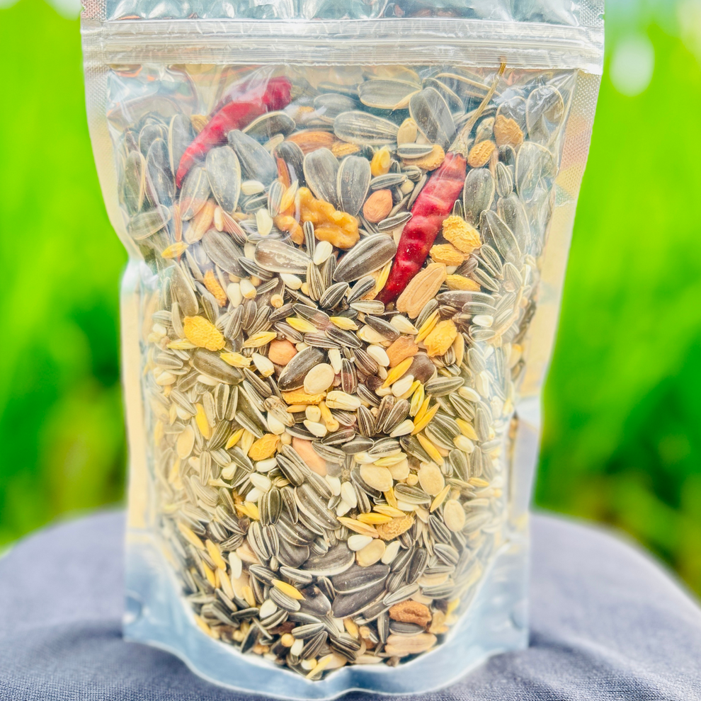 Premium Seed Mix for Conure Bird.Sun Conure, Pineapple Conure & Other ...