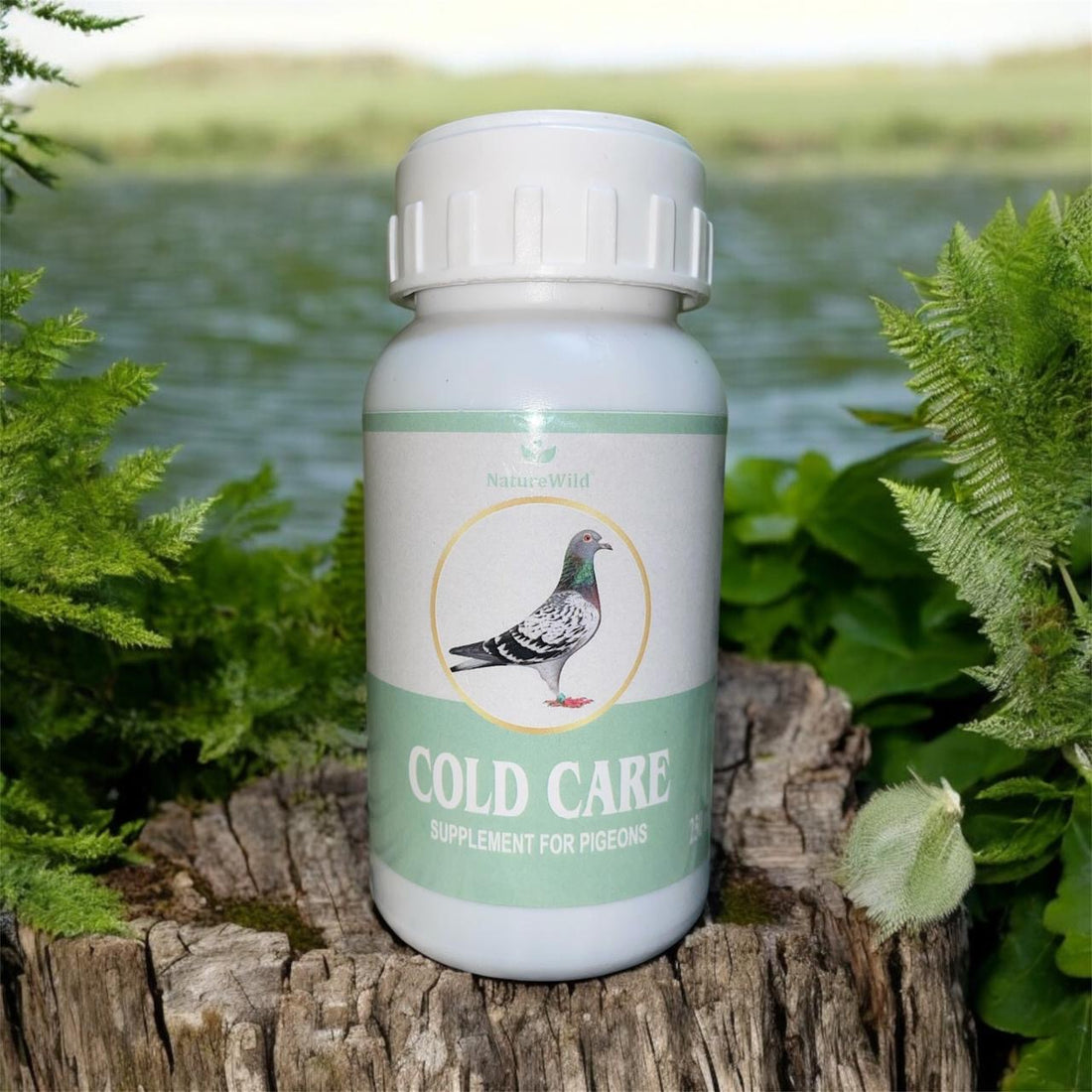 Nature Wild Cold Care-Instant Recovery from Cold & Cough 100ml for Bir ...