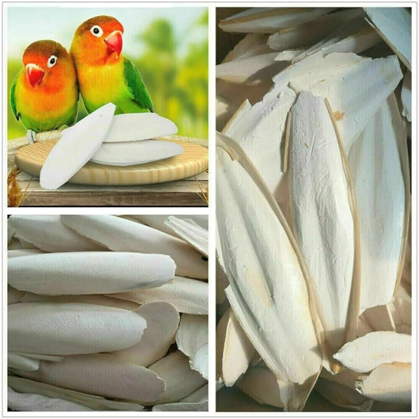 Cuttlefish Bone for Birds 200g | Natural Cuttlebone Calcium Supplement ...