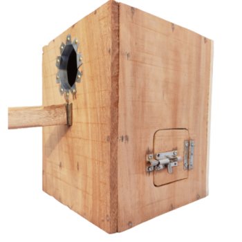 Conure Bird Breeding Box Wooden – VoliKart